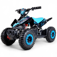 Quads électriques enfants et ados - Pitracing Boutique quad